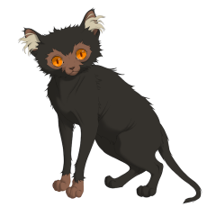 Wolf - Paw Borough Wiki