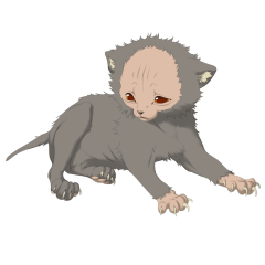 Wolf - Paw Borough Wiki